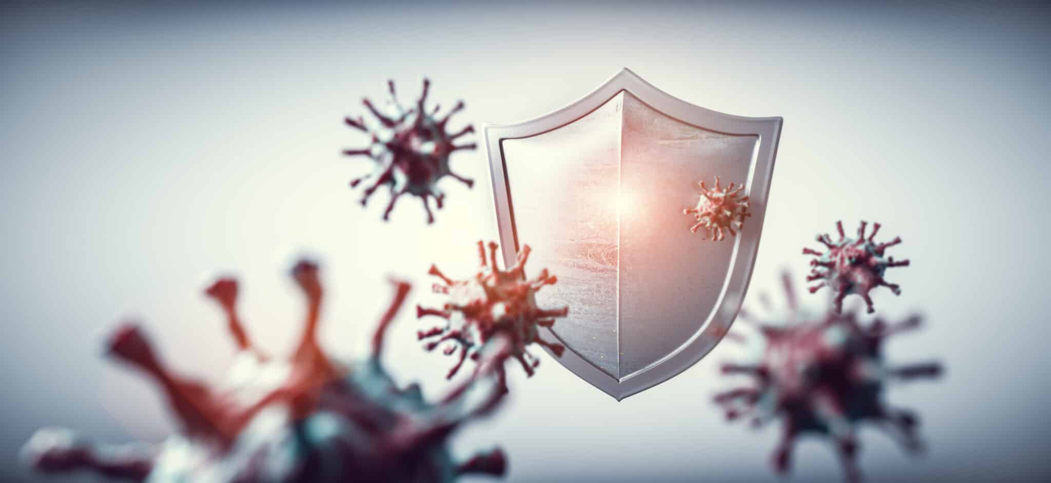 Wie kann ich mich vor Zoonosen schützen? - Erste Hilfe Zuhause